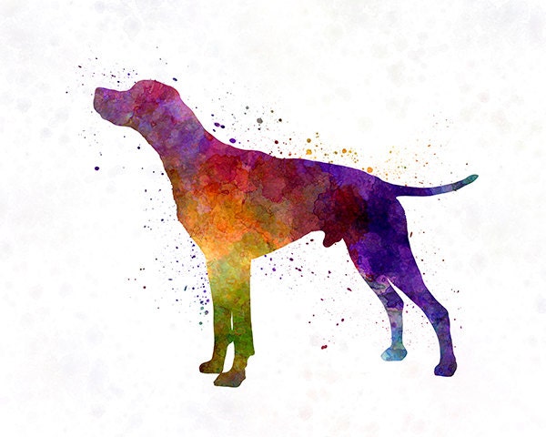 English Pointer in Watercolor Fine Art Print Glicee Poster - Etsy