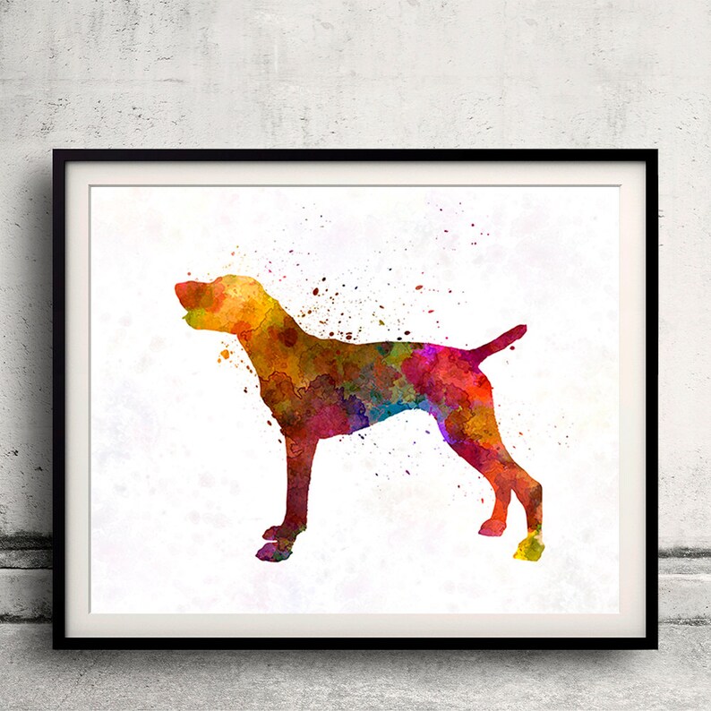 German Shorthaired Pointer in Watercolor Fine Art Print - Etsy