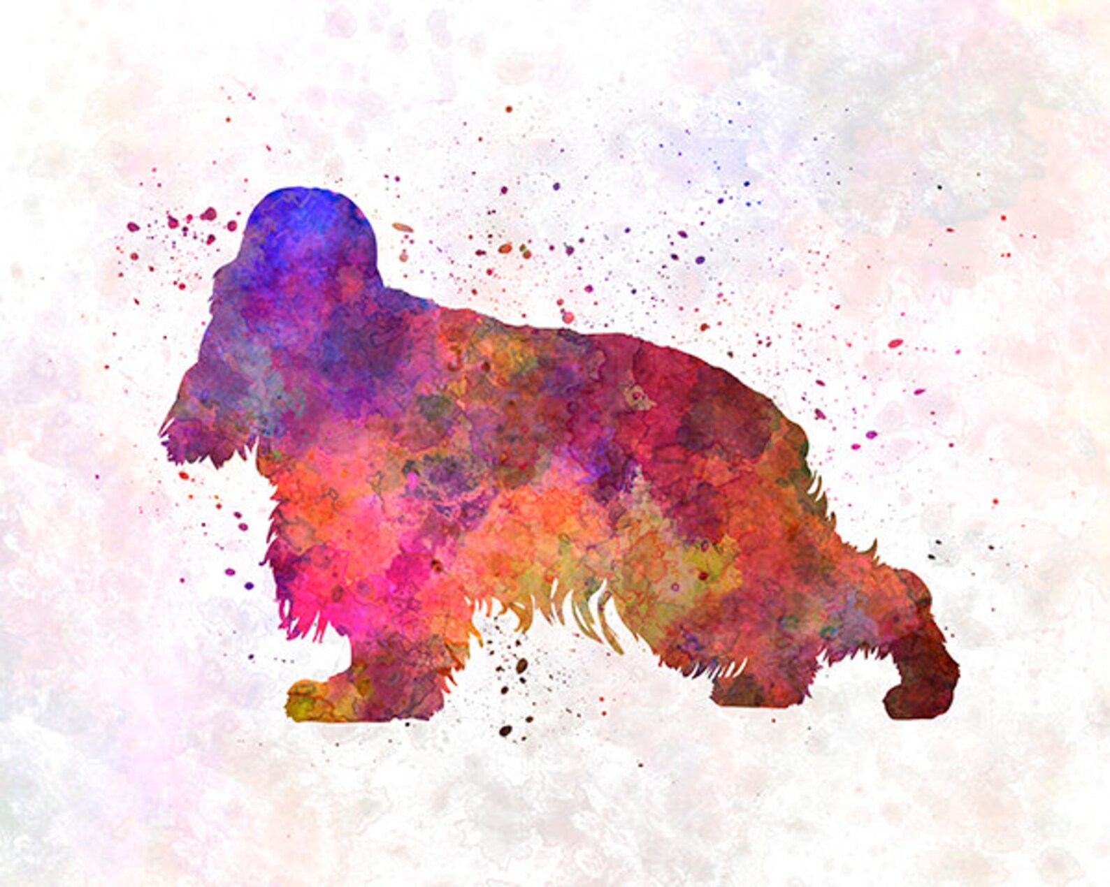 English Cocker Spaniel 01 in Watercolor Fine Art Print - Etsy