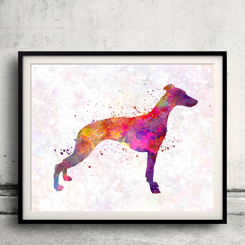 Whippet 01 in Watercolor - Fine Art Print Glicee Poster Decor Home ...
