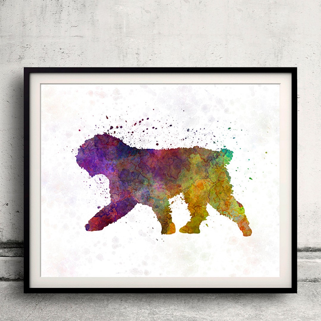 Spanish Water Dog in Watercolor - Fine Art Print Glicee Poster Decor ...