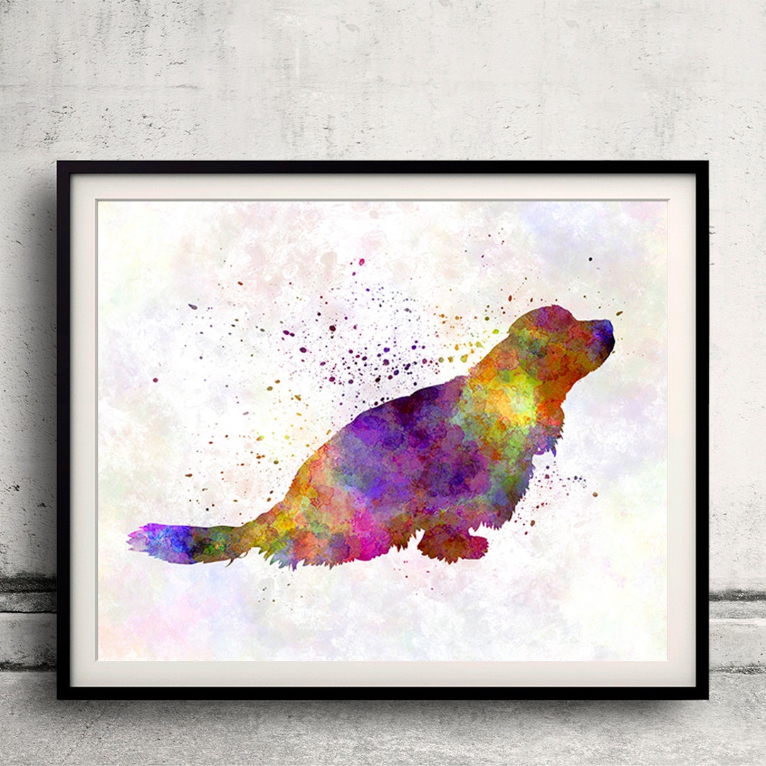 Sussex Spaniel 01 in Watercolor - Fine Art Print Glicee Poster Decor ...