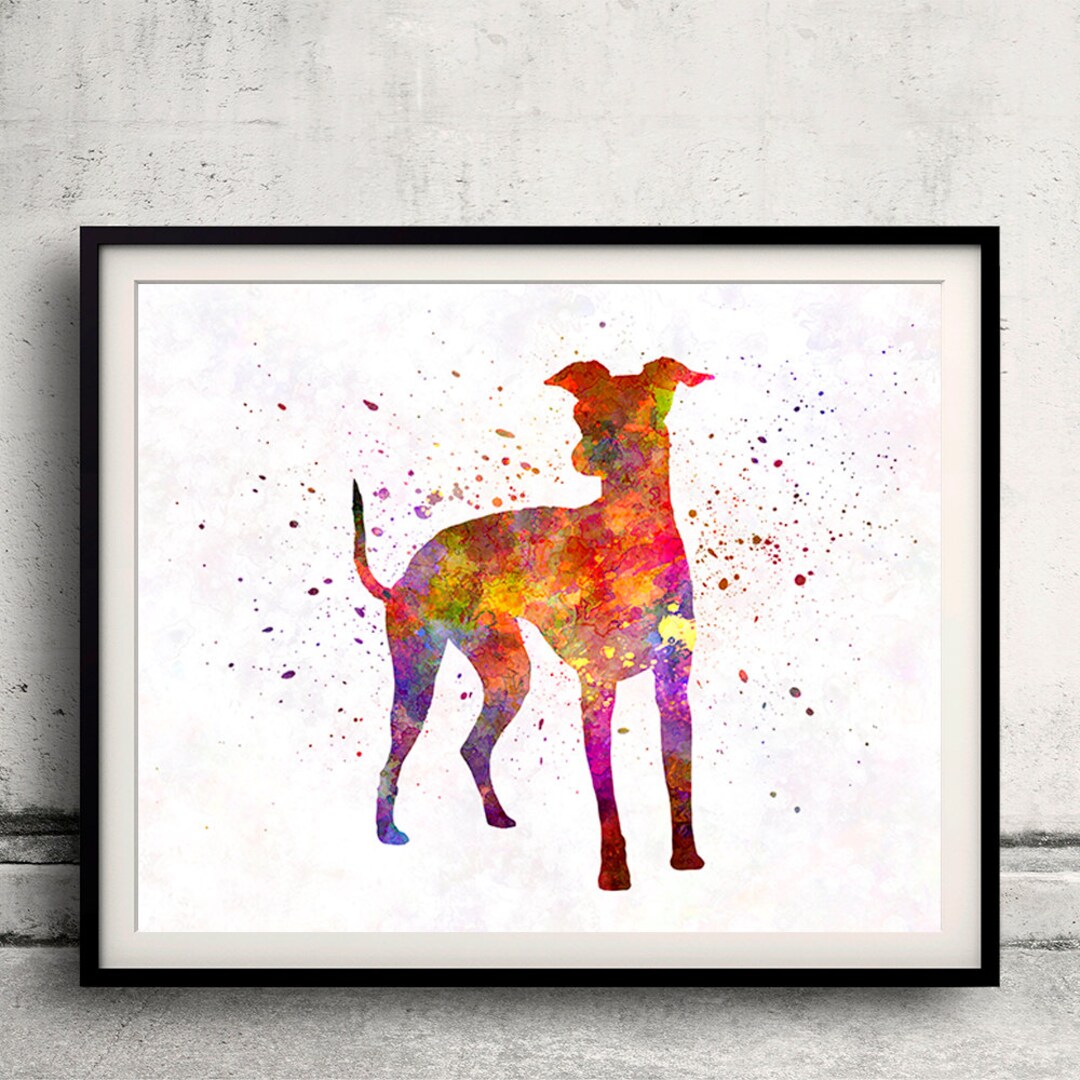 Italian Greyhound 01 in Watercolor - Fine Art Print Glicee Poster Decor ...
