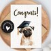 Funny Graduation Card Printable Graduation Card Congrats Card Pug Dog ...