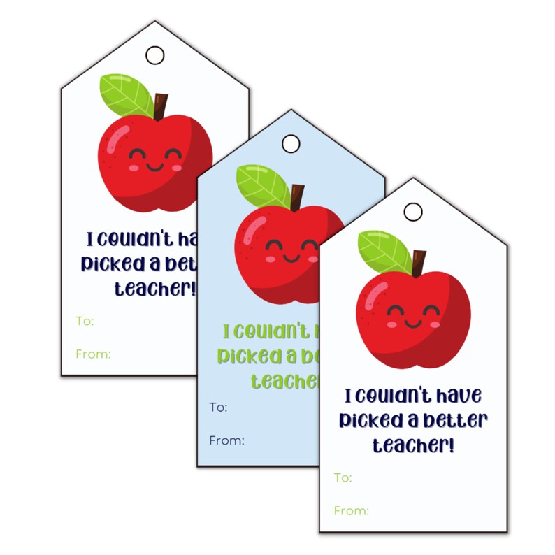 Printable Teacher Appreciation Tags End of Year Thank You Gift I Couldn ...