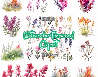 Watercolor Fireweed Bundle Clipart PNG Commercial Use Instant Download ...