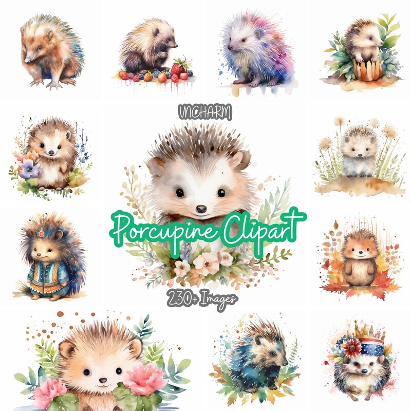 Porcupine Art - Etsy