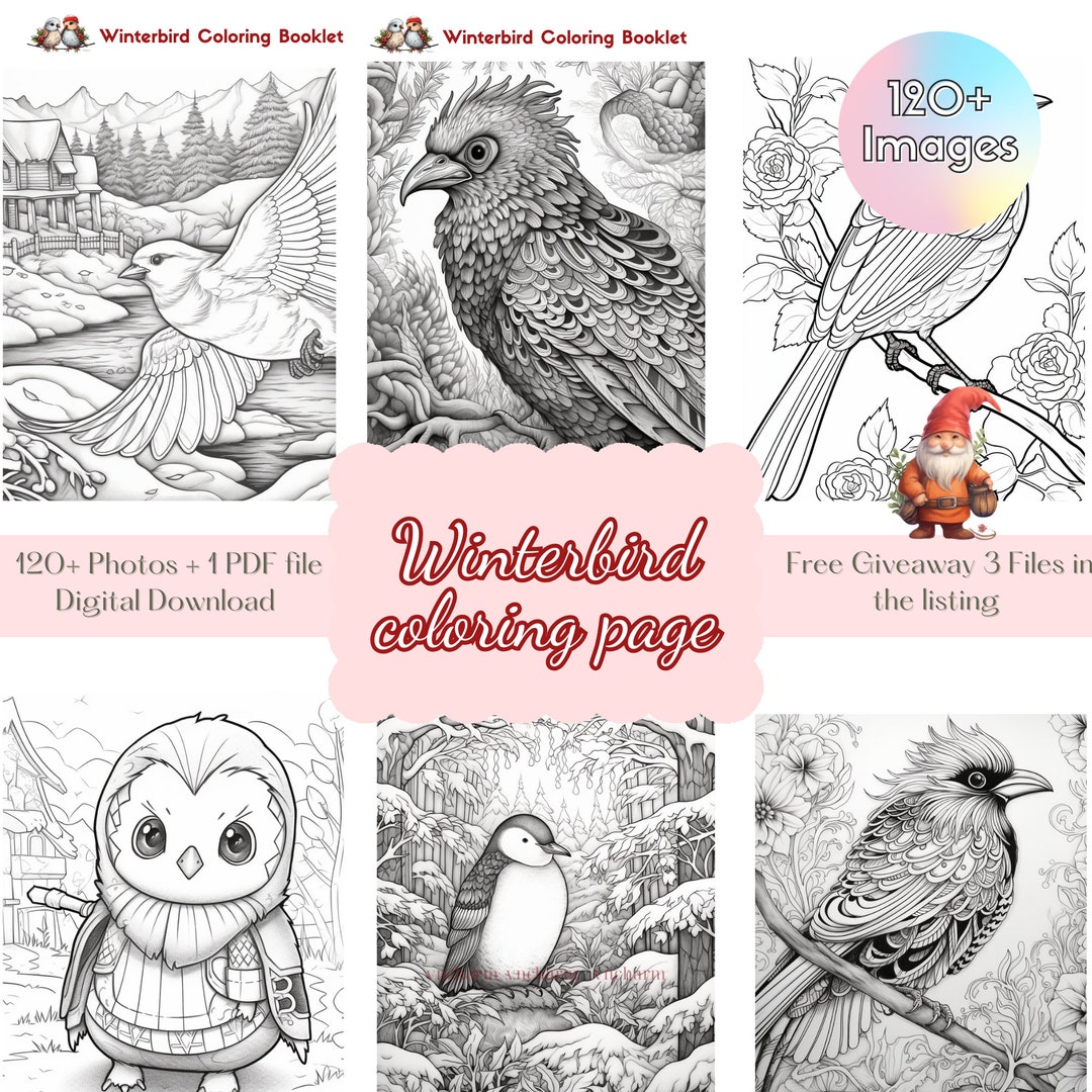Bird Colouring Pages -100+ Pages Bird Coloring Book, Coloring Sheets ...
