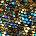 70 Seamless Fish Scale Digital Paper Packdigital Papers 12x12 300 Dpi ...