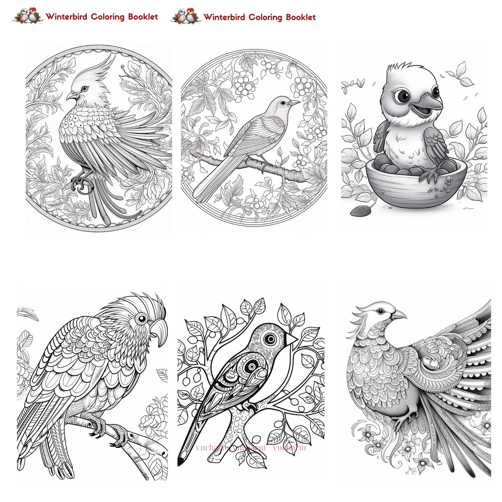 Bird Colouring Pages 100 Pages Bird Coloring Book, Coloring Sheets ...
