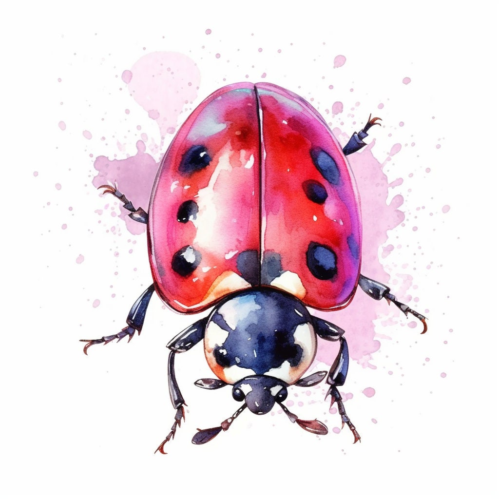 230 Watercolor Ladybug Clipart Cute Spring Bug PNG, Insect, Instant ...