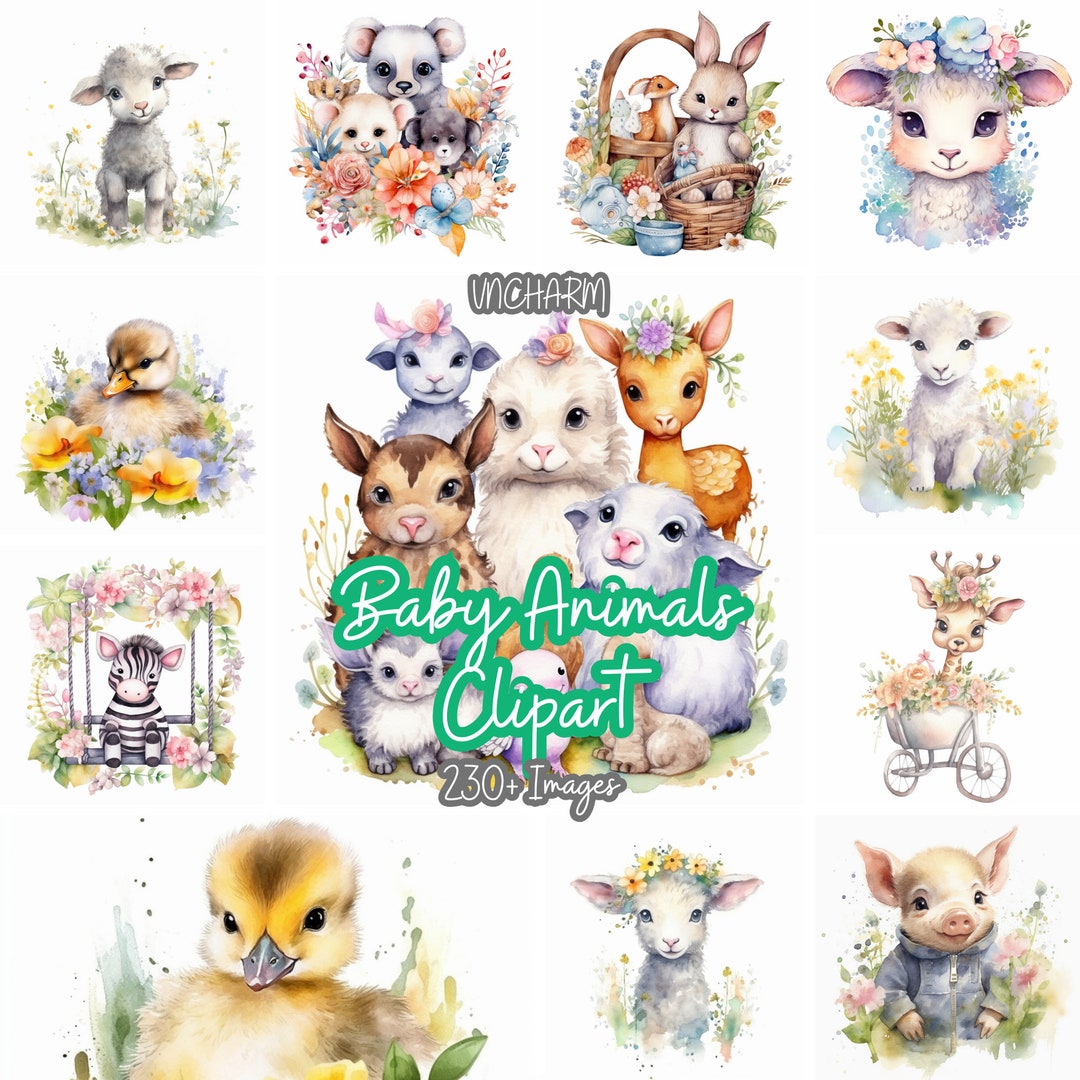 230 Watercolor Baby Animal Clipart: Etsy Clipart Bundle, High-quality ...