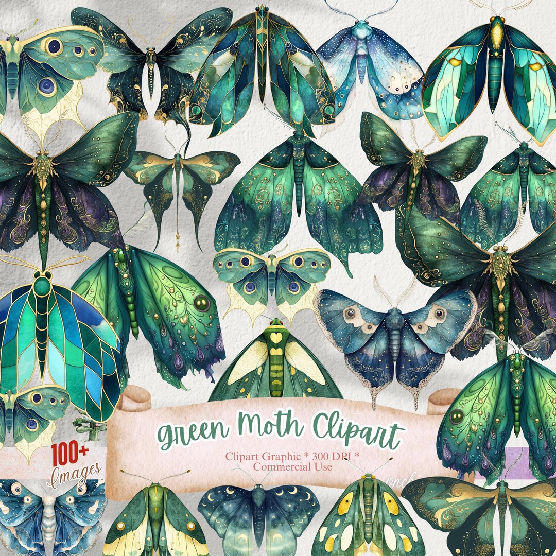 110 Green Moth Clipart Moth Clip Art, Magic Moth Crystal Png, Luna Moth ...