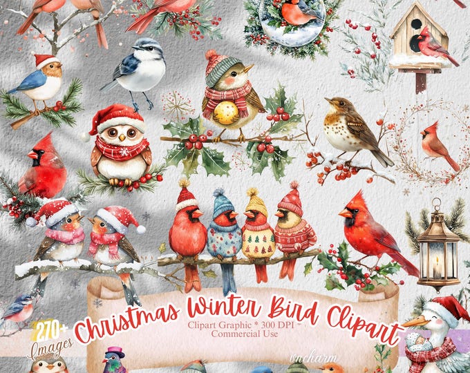 11 PNG Christmas Birds PNG – Caroling Chick Clipart – Cute Festive ...