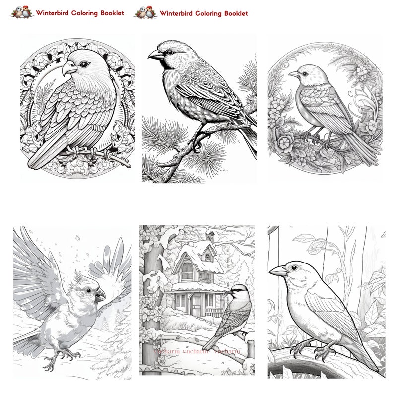 Bird Colouring Pages 100 Pages Bird Coloring Book, Coloring Sheets ...