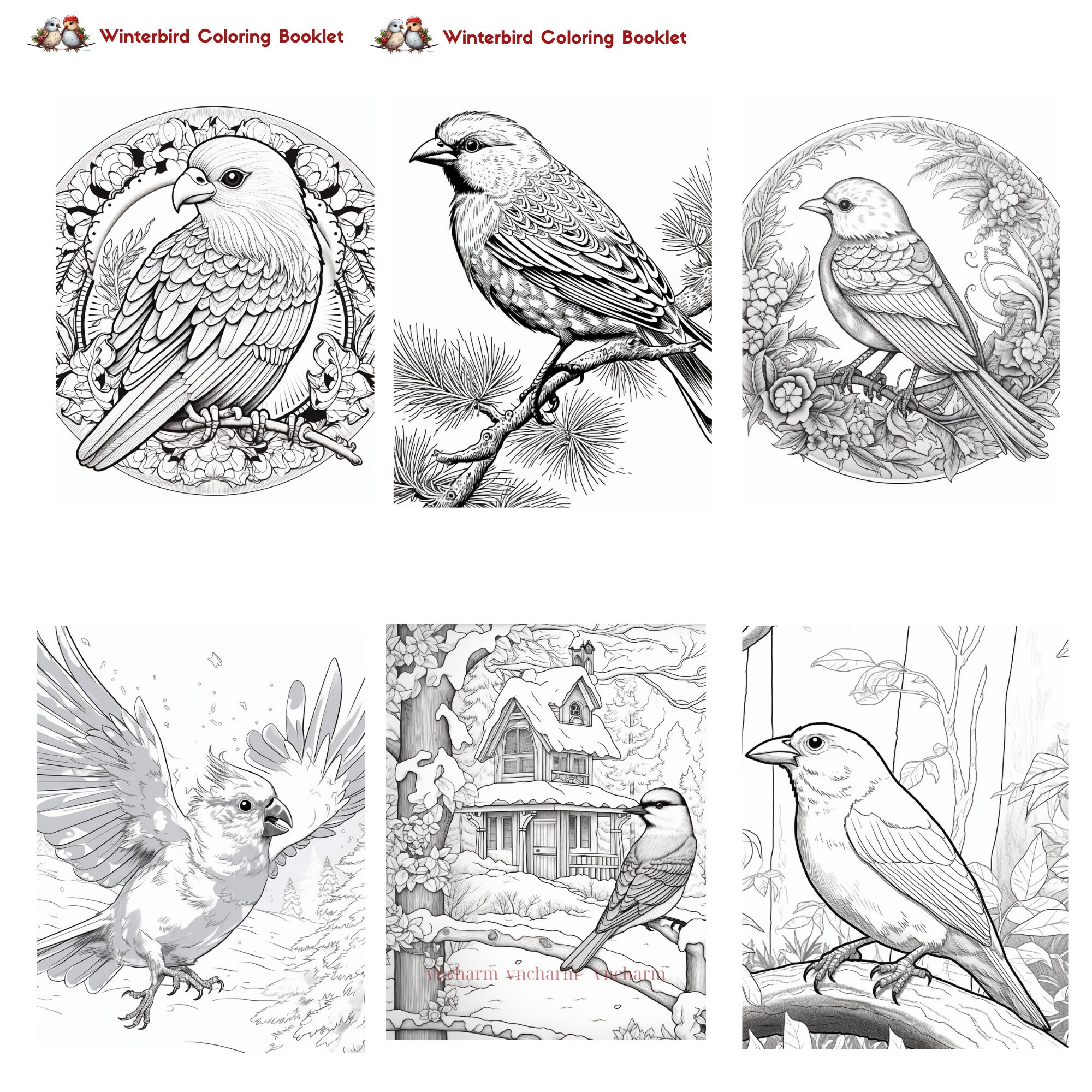 Bird Colouring Pages 100 Pages Bird Coloring Book, Coloring Sheets ...