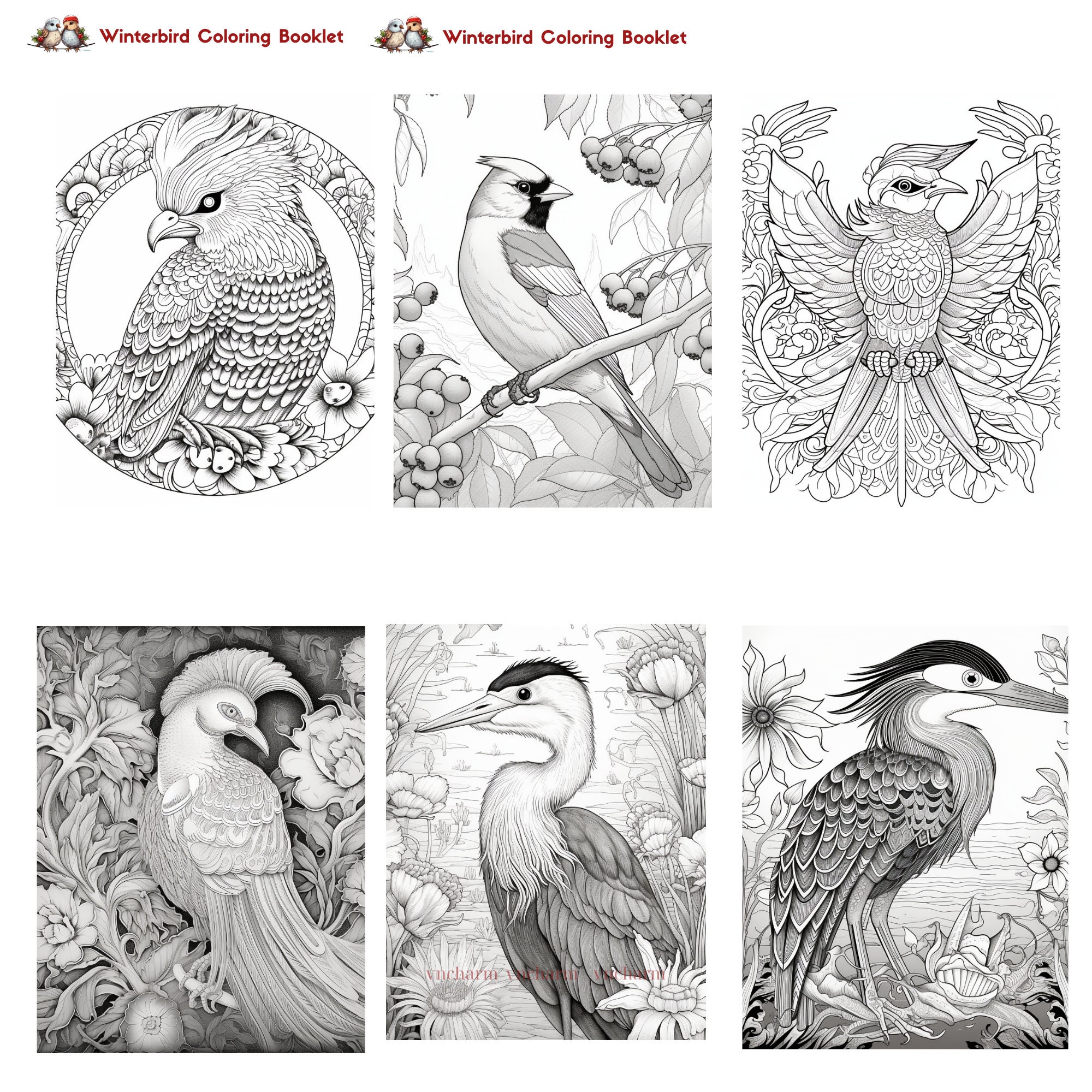 Bird Colouring Pages 100 Pages Bird Coloring Book, Coloring Sheets ...