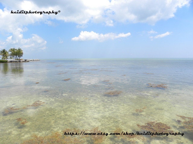 Serene Scene~ **art**paradise**unedited**wall Art* *office Art ...