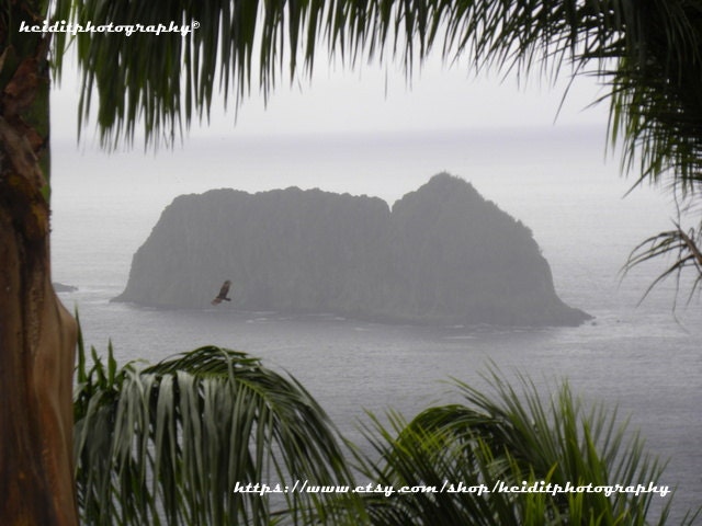 Soaring Rock~ **art**paradise**unedited**wall Art* *office Art ...