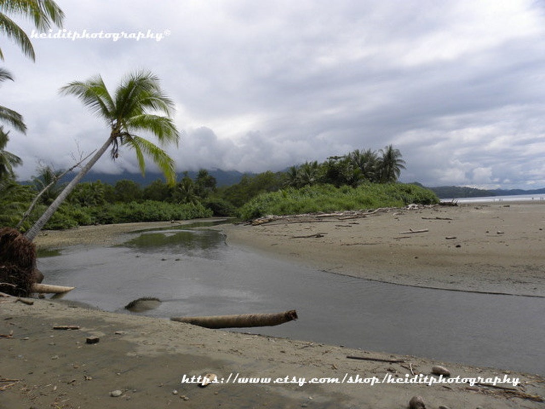 Costa Rican Beach~ **art**paradise**unedited**wall Art* *office Art ...