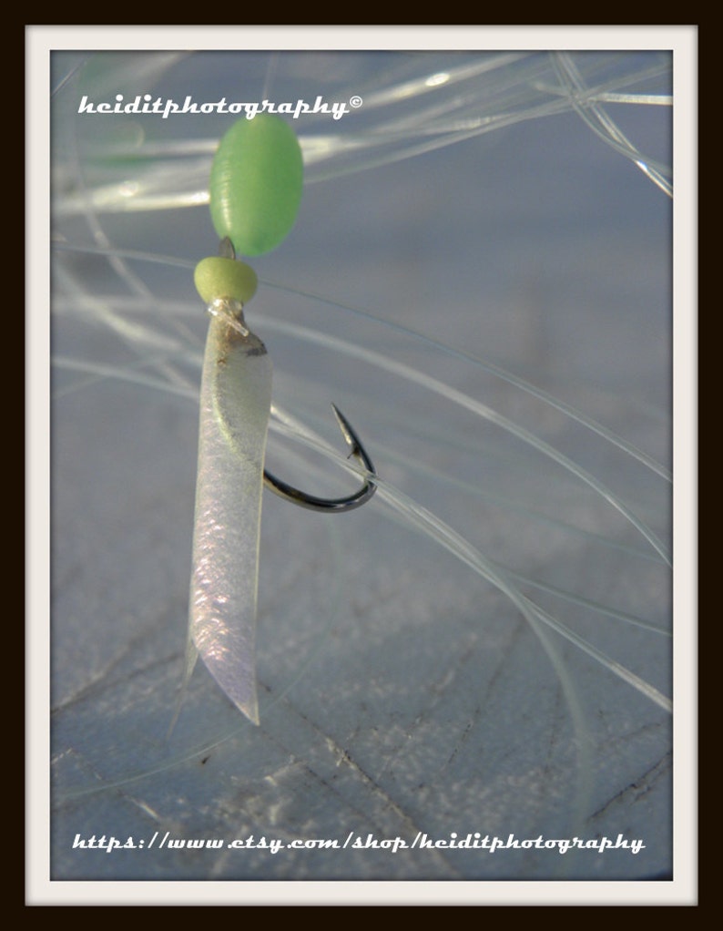 Sabiki Hook~ **art**paradise**unedited**wall Art* *office Art ...