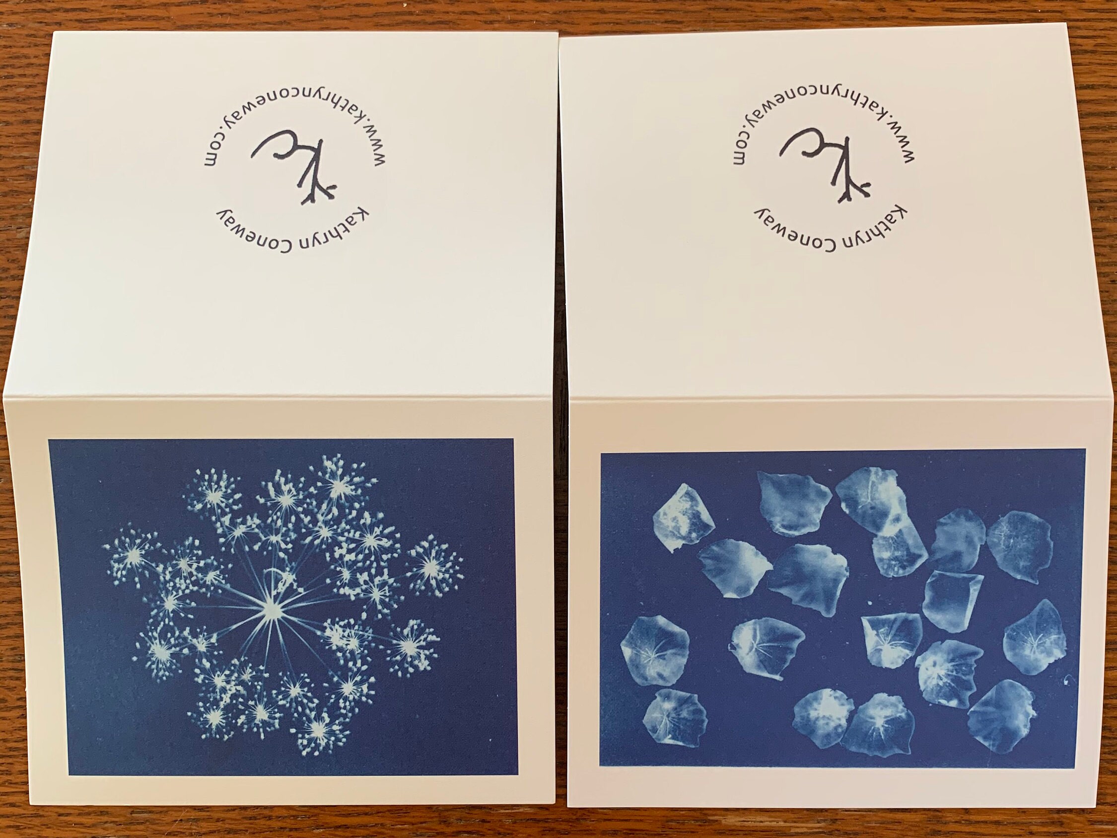 Cyanotype Card Set - Etsy