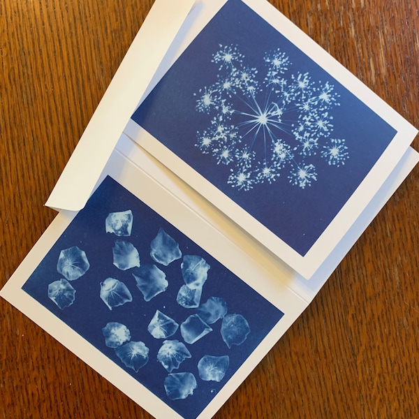 Cyanotype Cards - Etsy UK