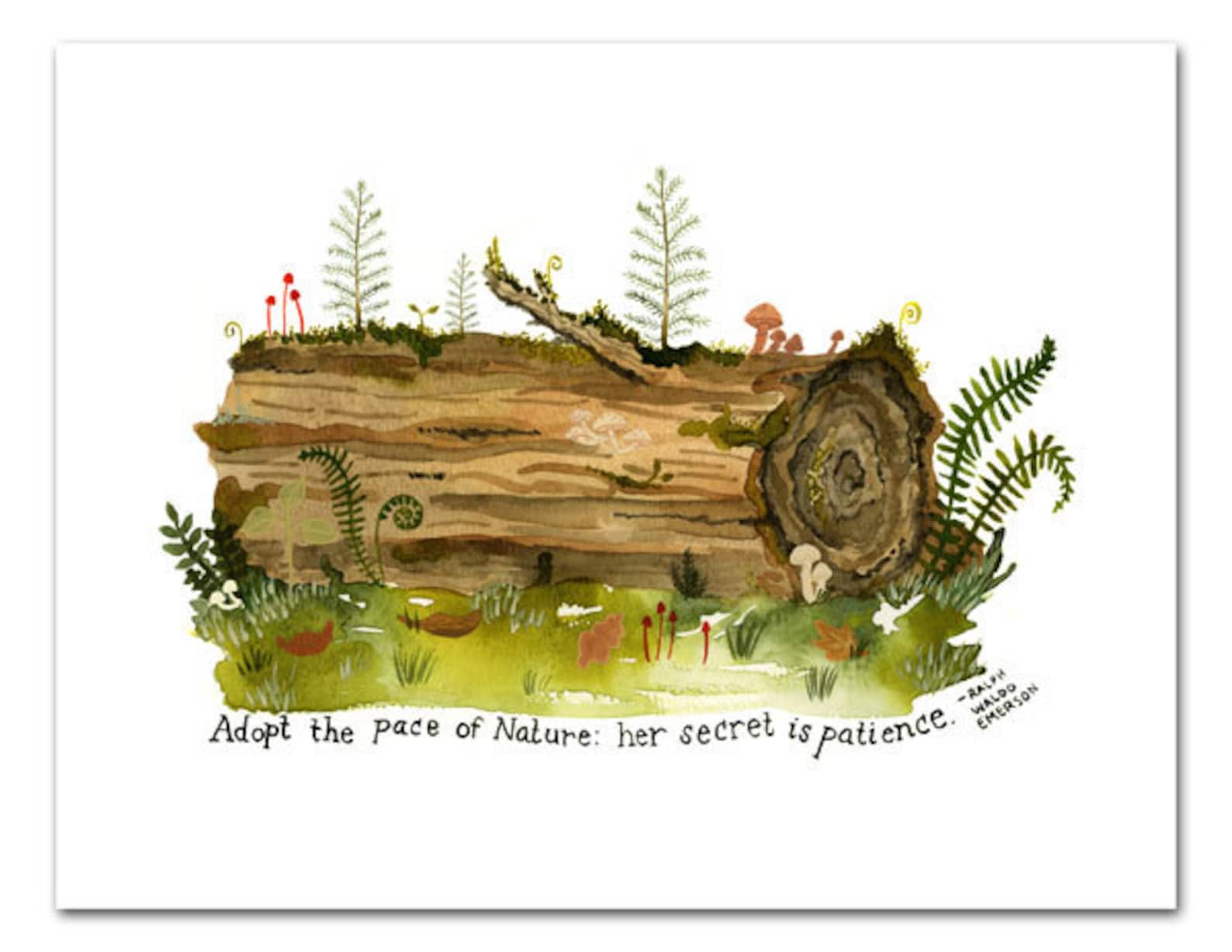 Nurse Log Art Print, Tree Wall Art, Biology, Science Art, Watercolor ...