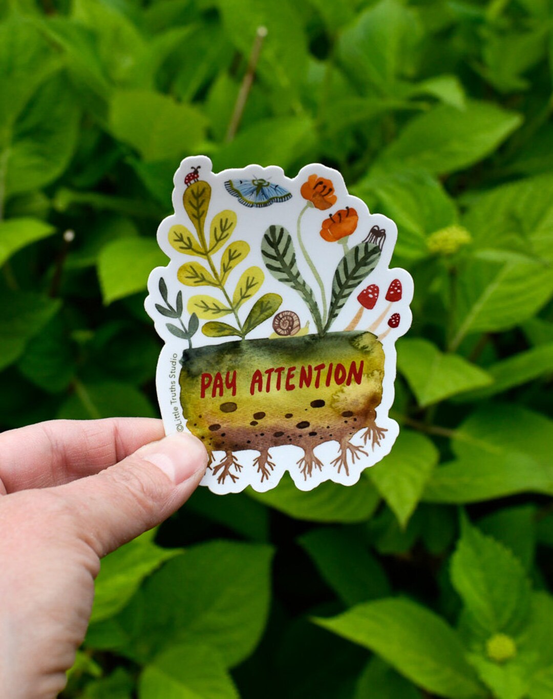 Pay Attention Sticker, Mindfulness, Nature, Plant Lover, Water Bottle ...