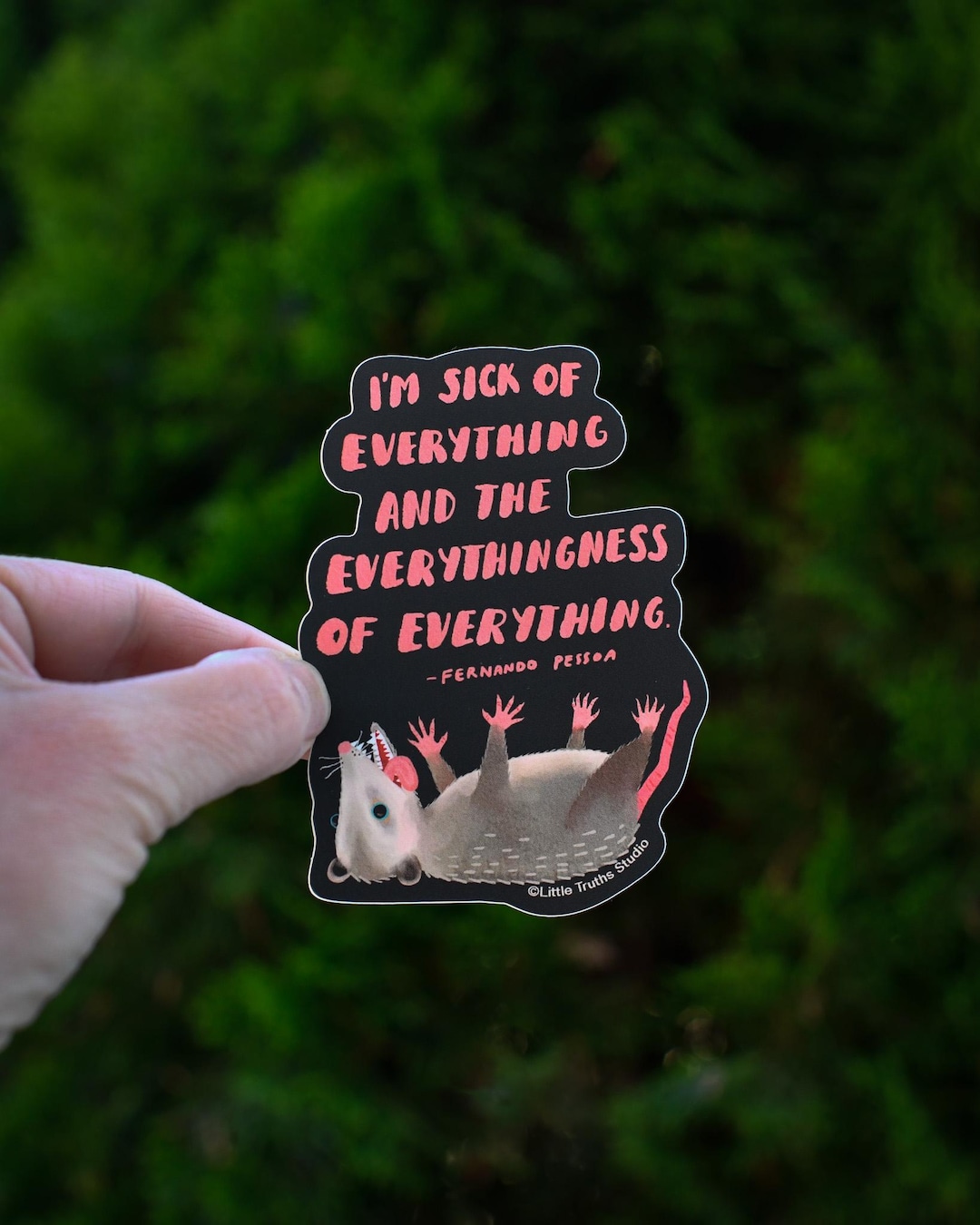 I'm Sick of Everything Sticker, Cute Possum Sticker, Water Bottle ...
