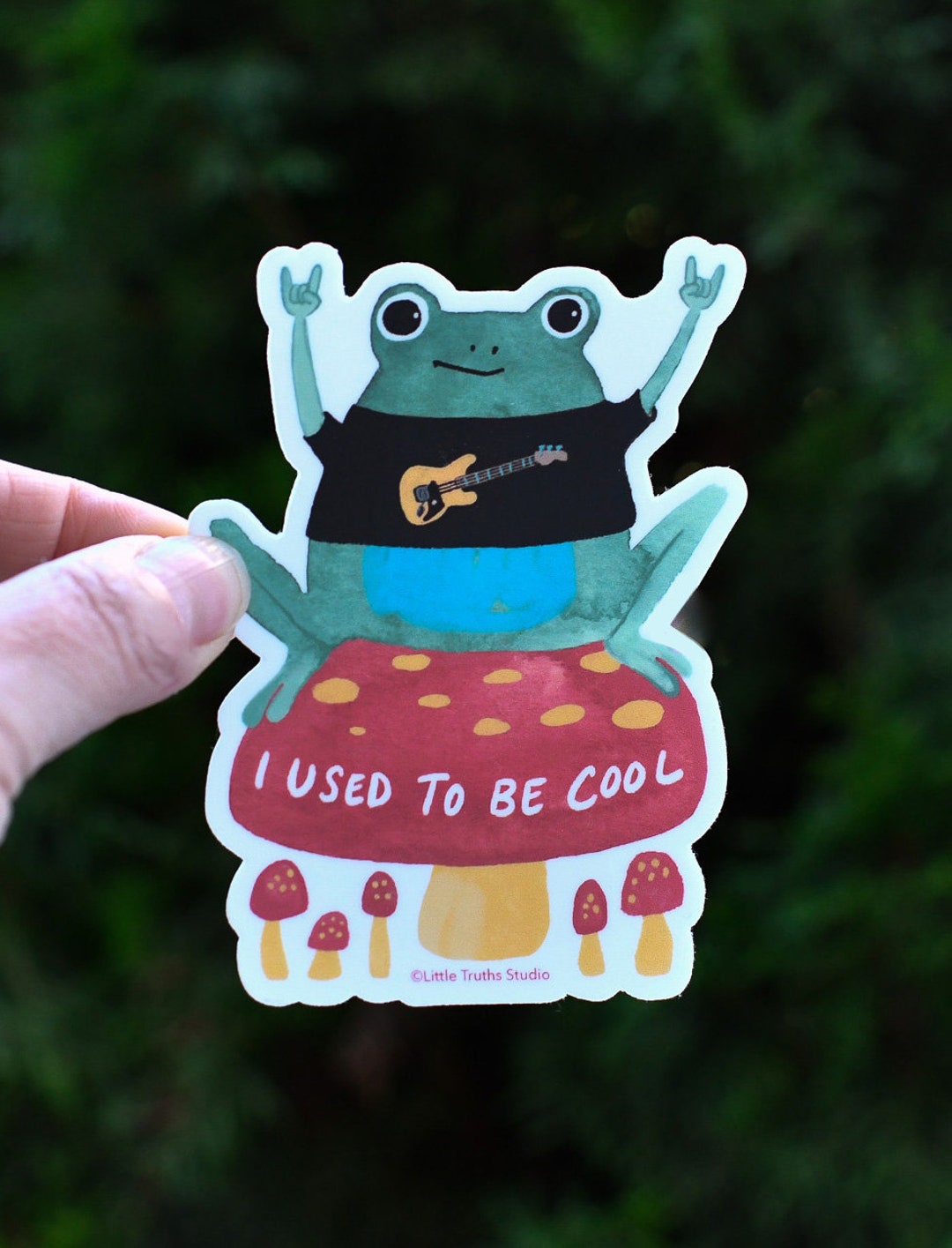 I Used to Be Cool Sticker, Funny Frog Sticker, Cute Rock Star Frog ...
