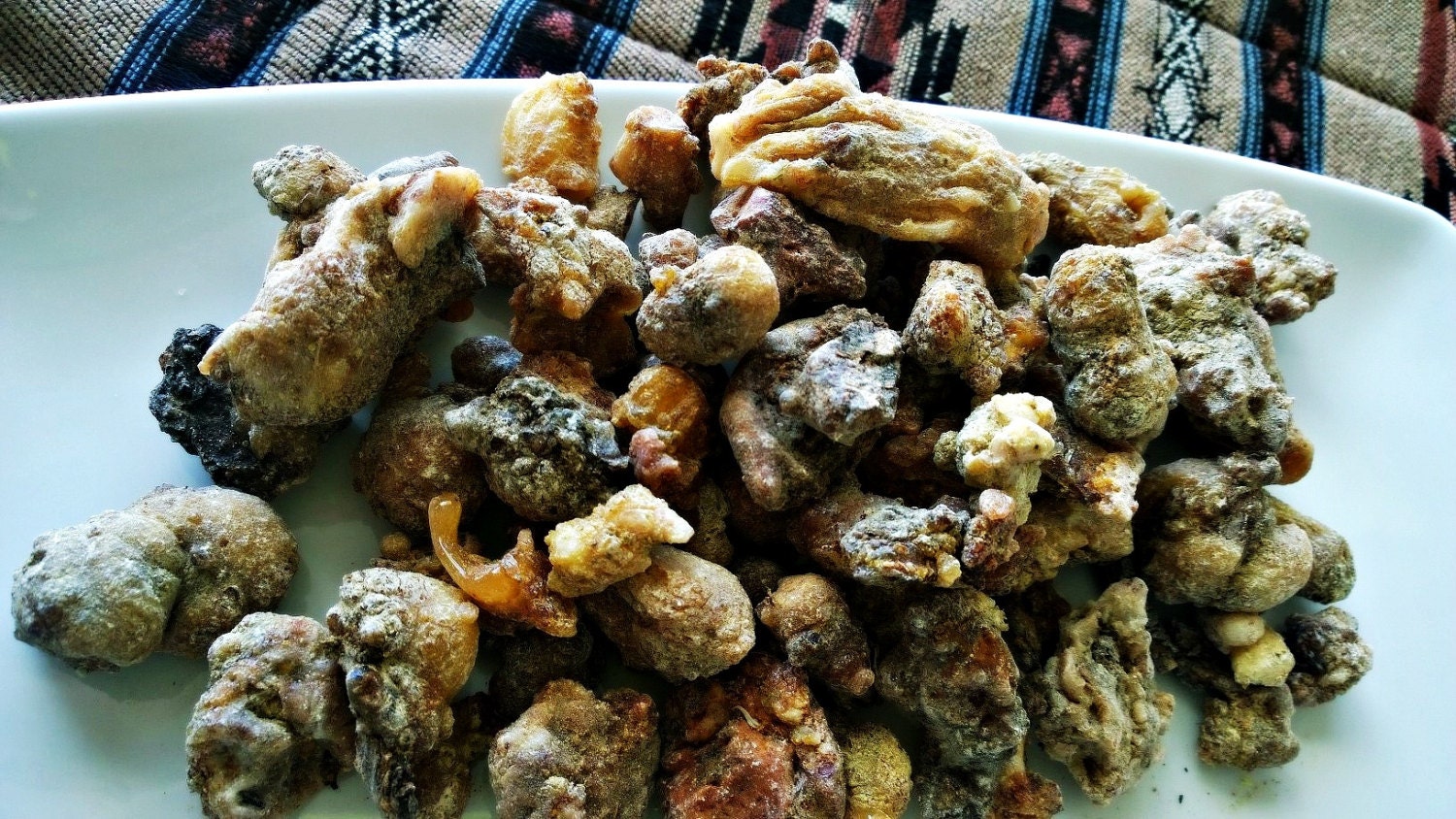 Wild crafted 8 oz Pinon pinion pinyon Pine Pitch Resin gum sap | Etsy