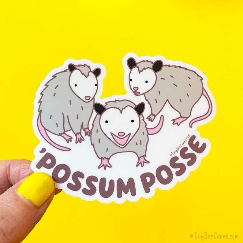Funny Opossum Pals Vinyl Sticker 'possum Posse - Etsy