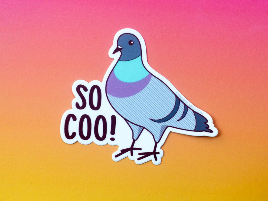 Pigeon Vinyl Sticker "so Coo!" - Funny Bird Sticker, Pigeon Pun, Cute ...