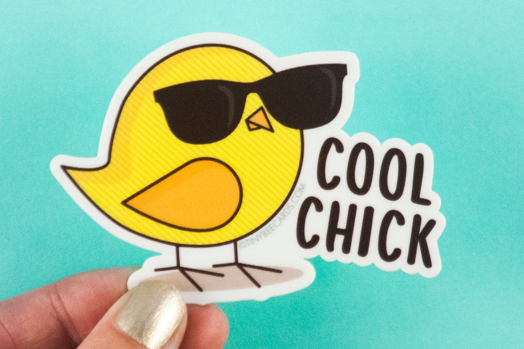 Chick Sticker – Funny Bird Sunglasses Pun Decal - Etsy