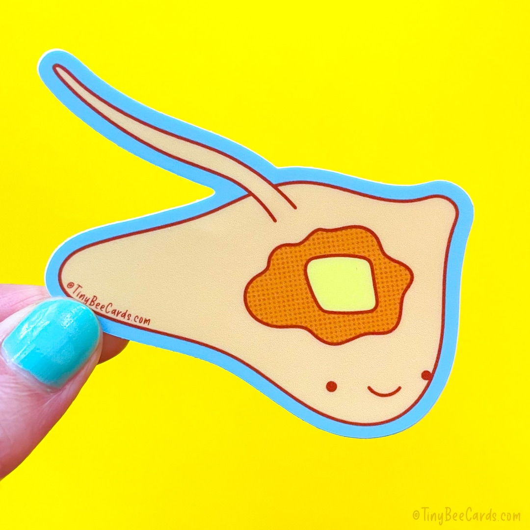 Pancake Stingray Vinyl Sticker - Funny Whimsical Sea Life Decal ...