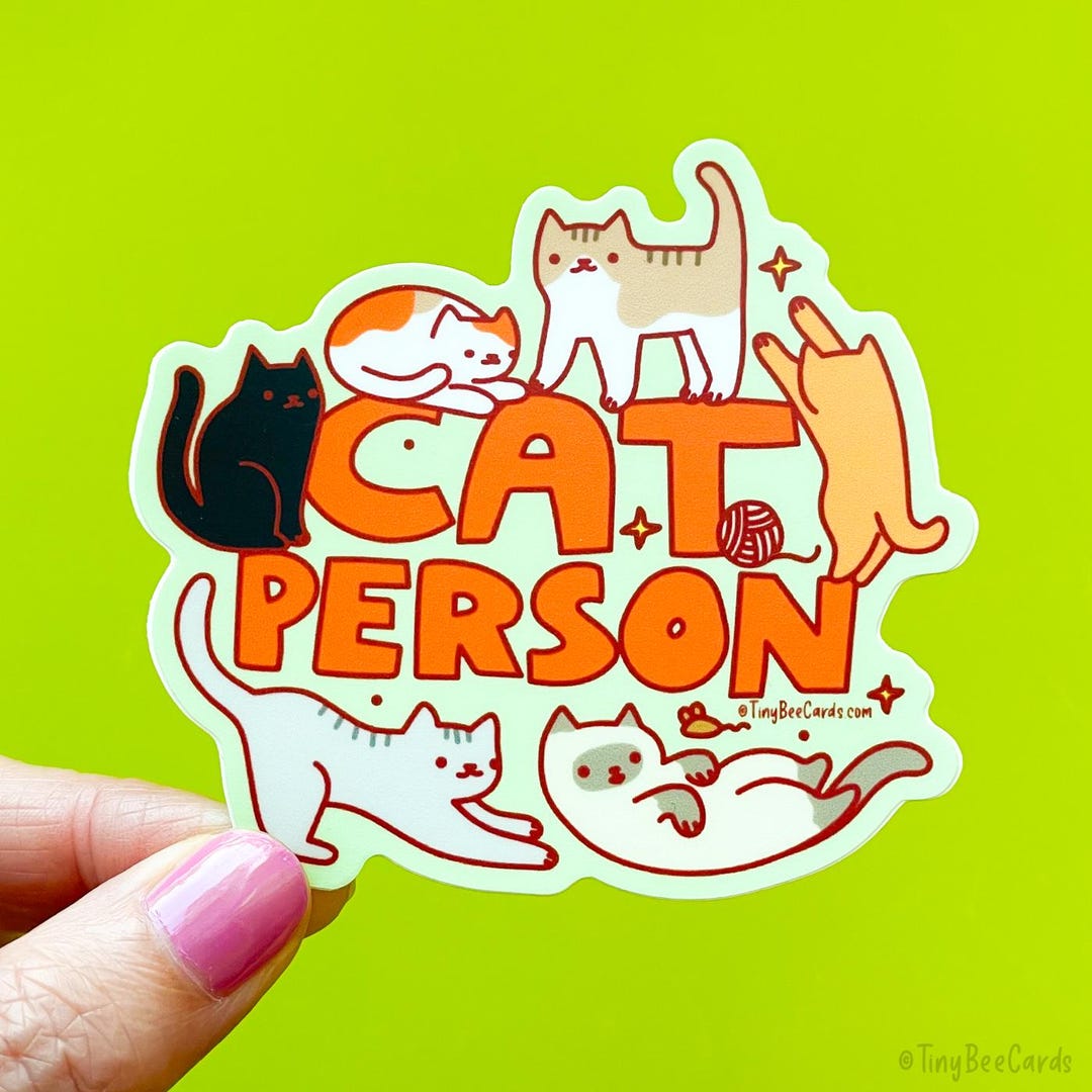 Cat Person Vinyl Sticker, Gift for Cat Lovers, Waterbottle Laptop or ...