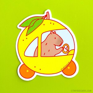 Capybara Driving a Yuzu Car Vinyl Sticker - Etsy