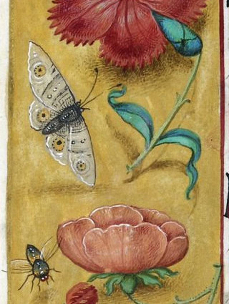 Fly Earrings Sterling Flies Blue Fly Earrings Fly Stud - Etsy