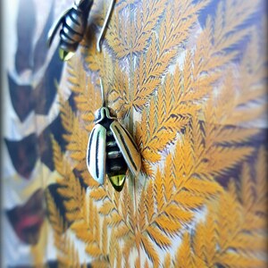 Firefly Earrings With Gem, Firefly Stud Earrings, SS Firefly Earring ...