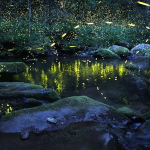 Silver Firefly Necklace, Sterling Multi-firefly Necklace, Beaded ...