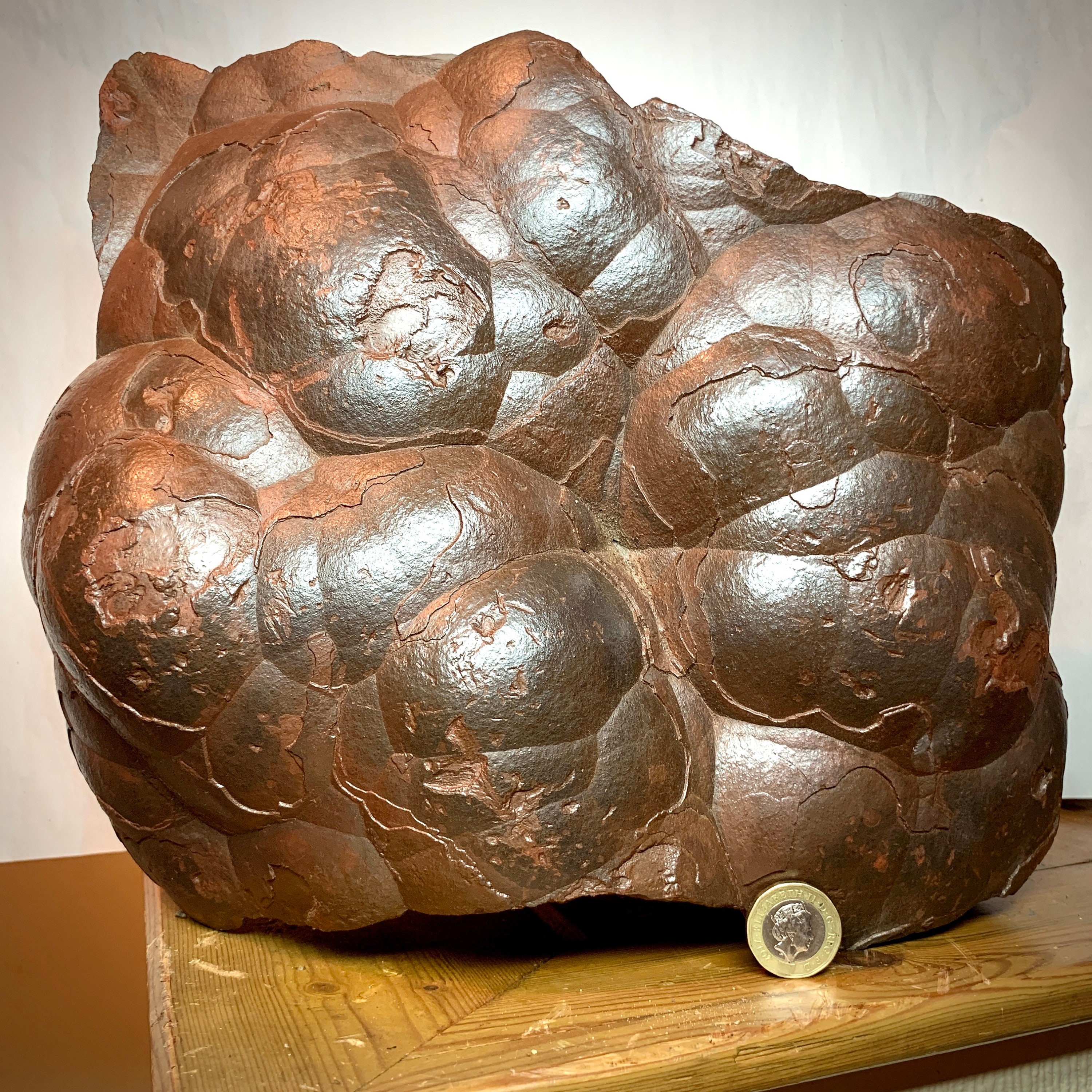 Kidney Metal Sculptures