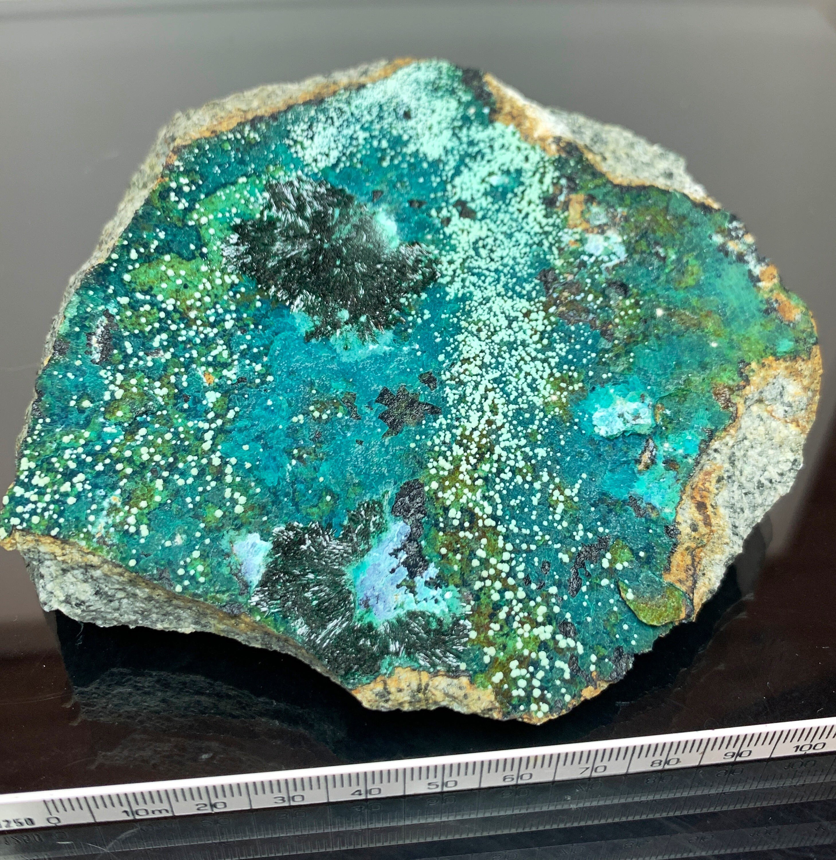Polished Atacamite