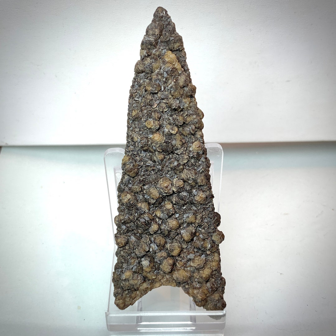 Twinned Siderite Epimorph After Baryte ladies Slipper - Etsy