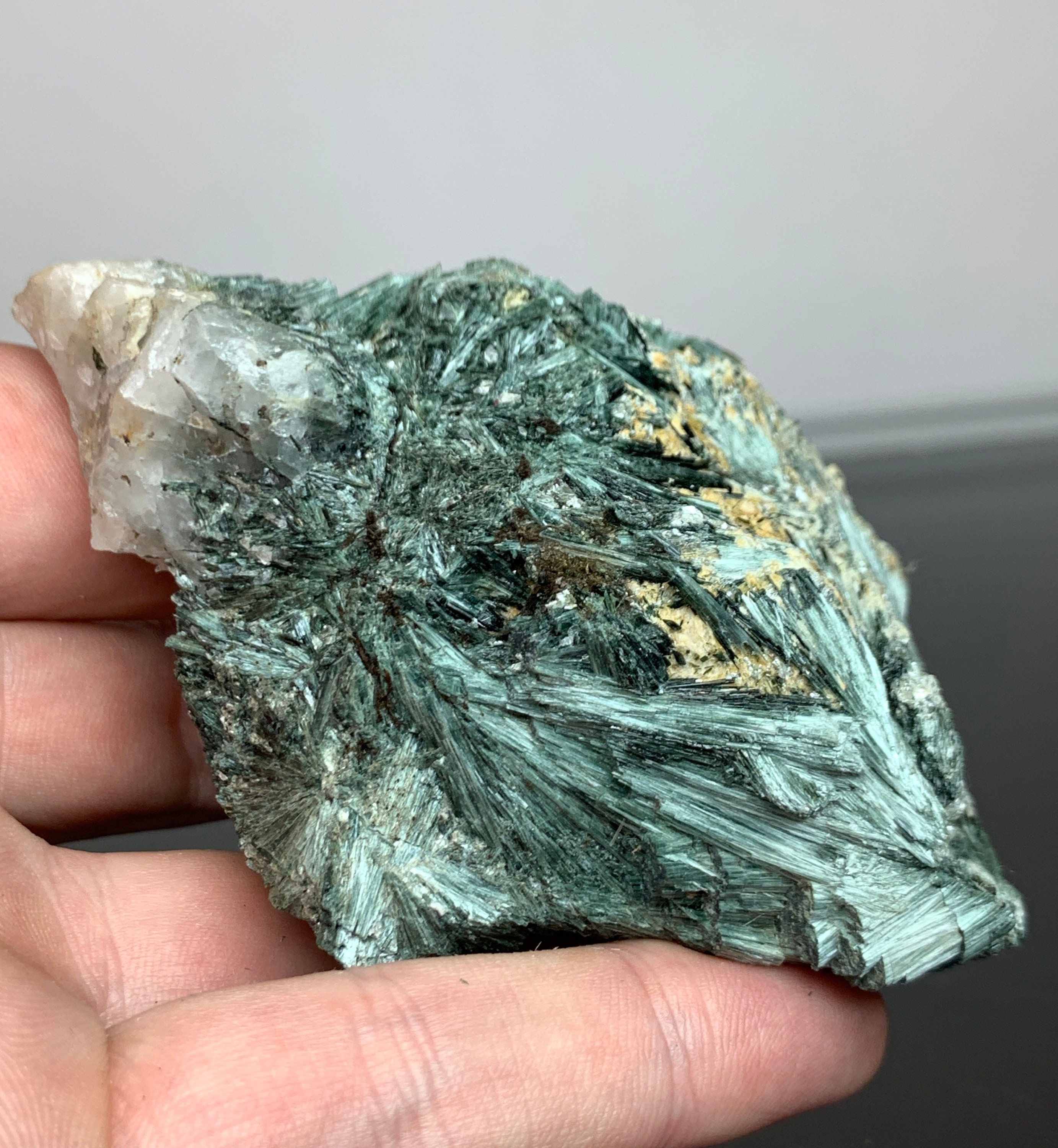 Actinolite