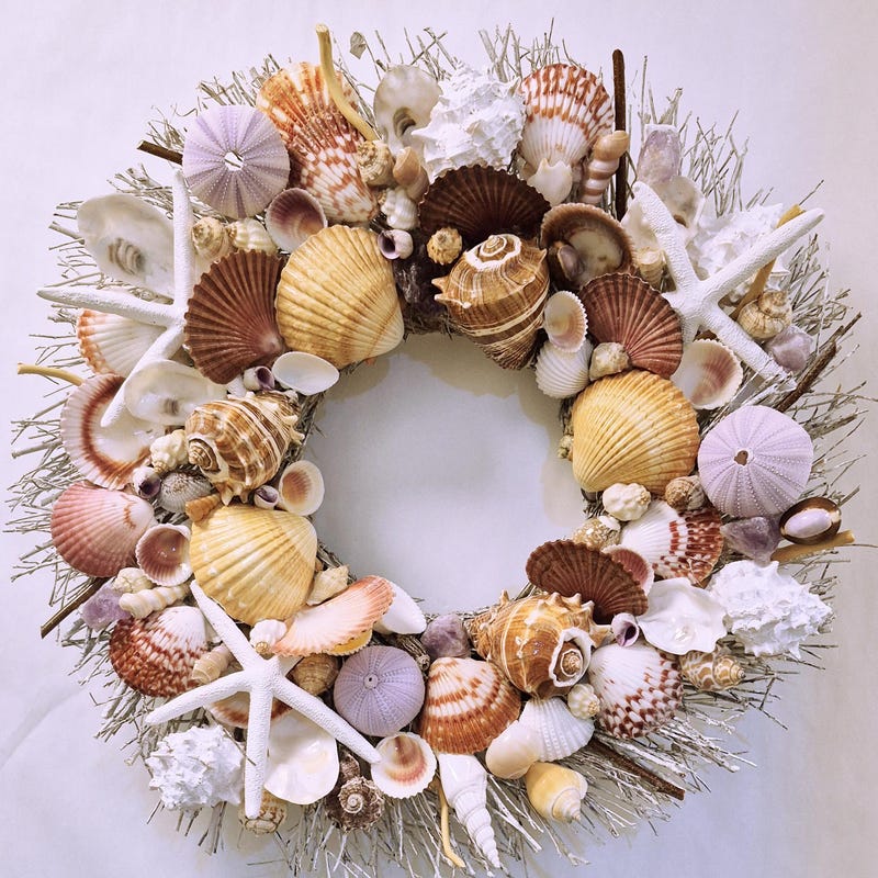 Seashell Wreath - Etsy