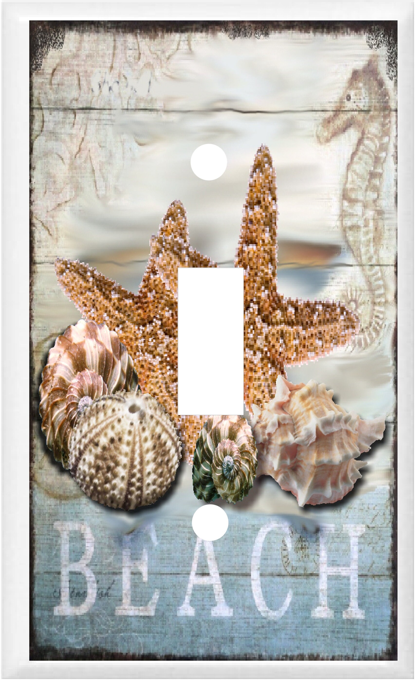 SEASHELL STARFISH BEACH Light Switch Cover Plate or Outlet - Etsy
