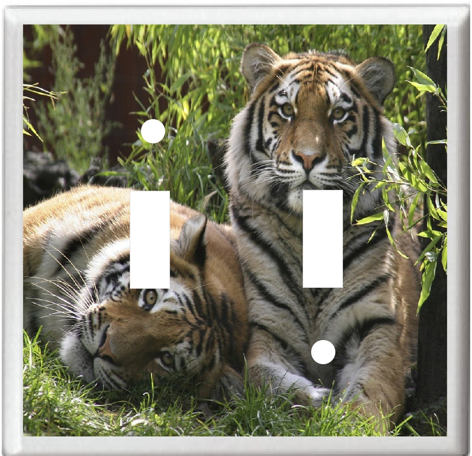 BENGAL TIGERS #5 Jungle Cats Light Switch Cover Plate or Outlet Home ...