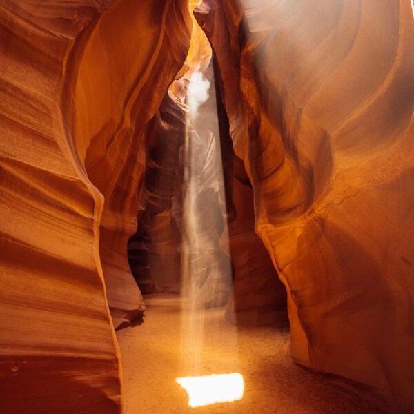 Antelope Fabric - Etsy