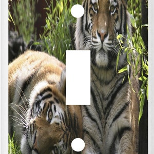 BENGAL TIGERS #5 Jungle Cats Light Switch Cover Plate or Outlet Home ...